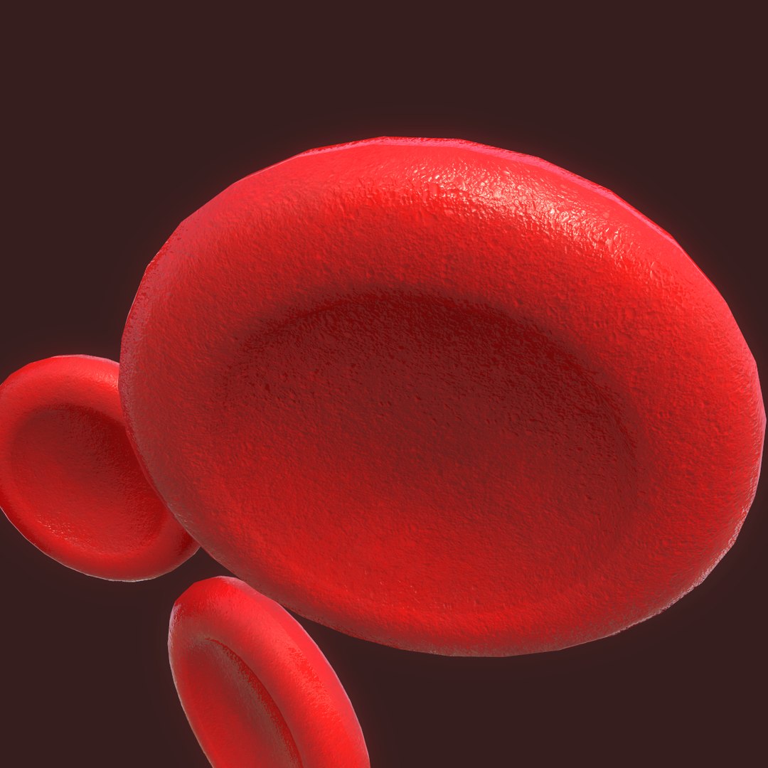 Red Blood Cell Model - TurboSquid 1423782