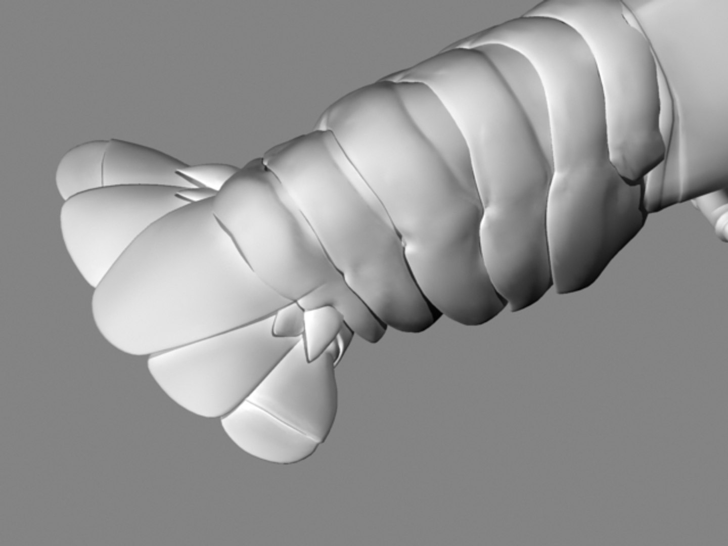 3d lobster model