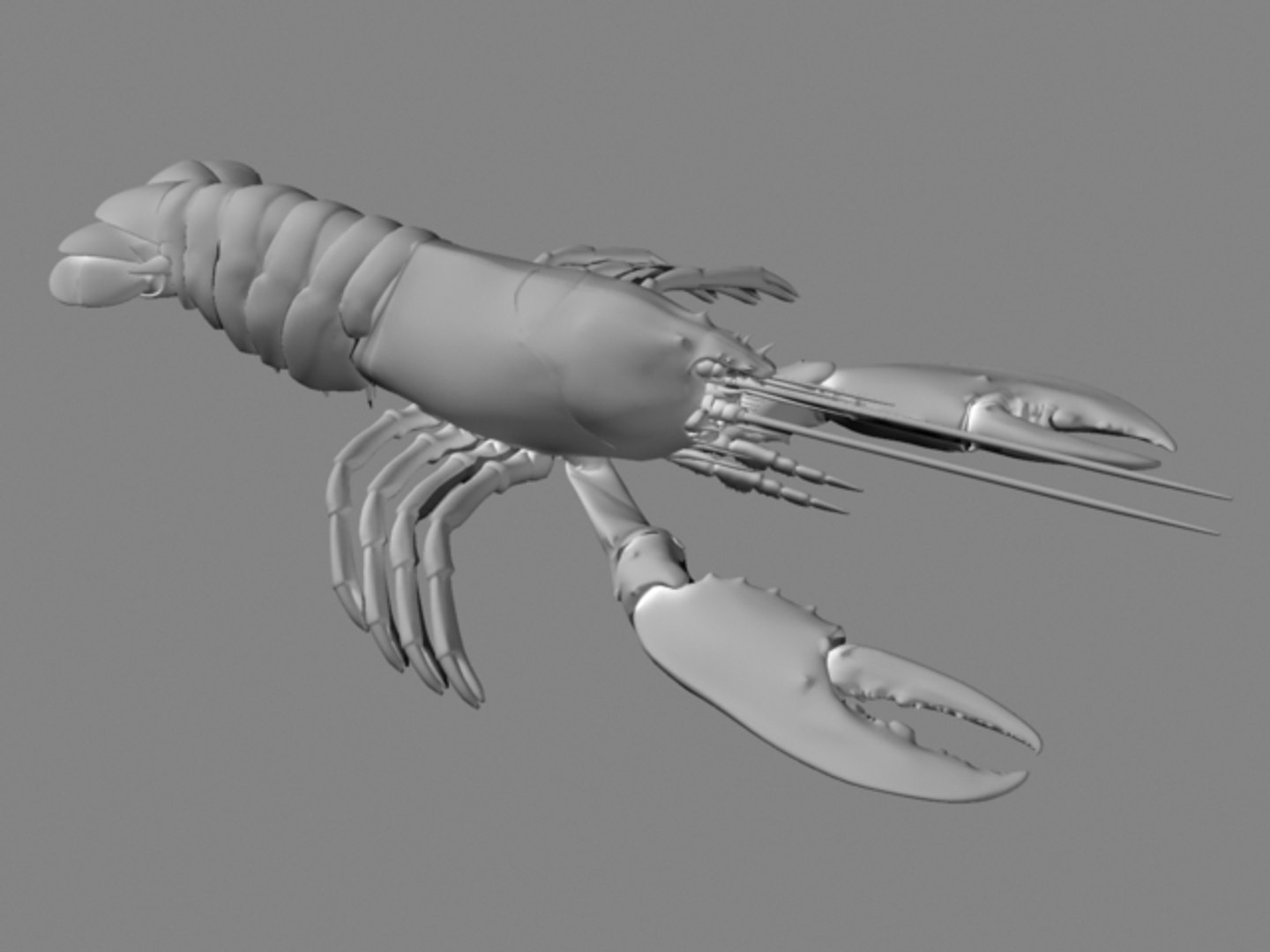 3d lobster model