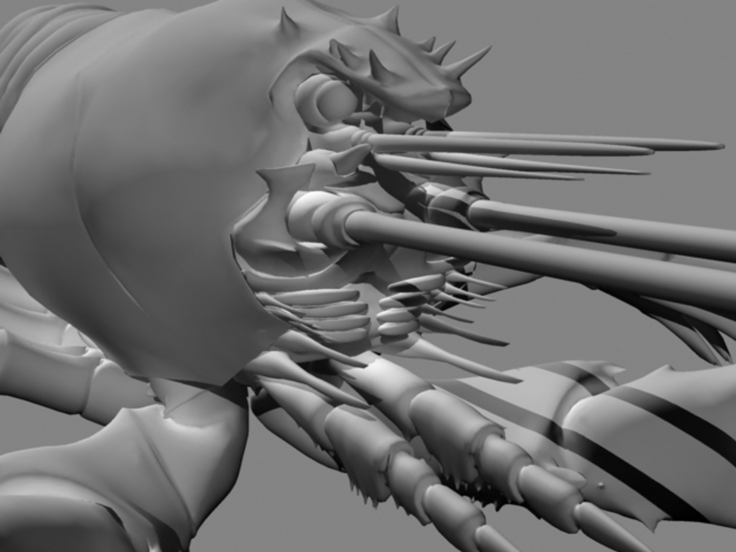 3d lobster model