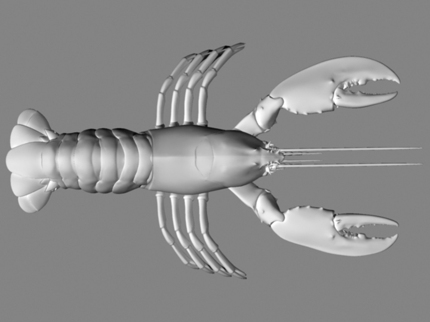 3d lobster model
