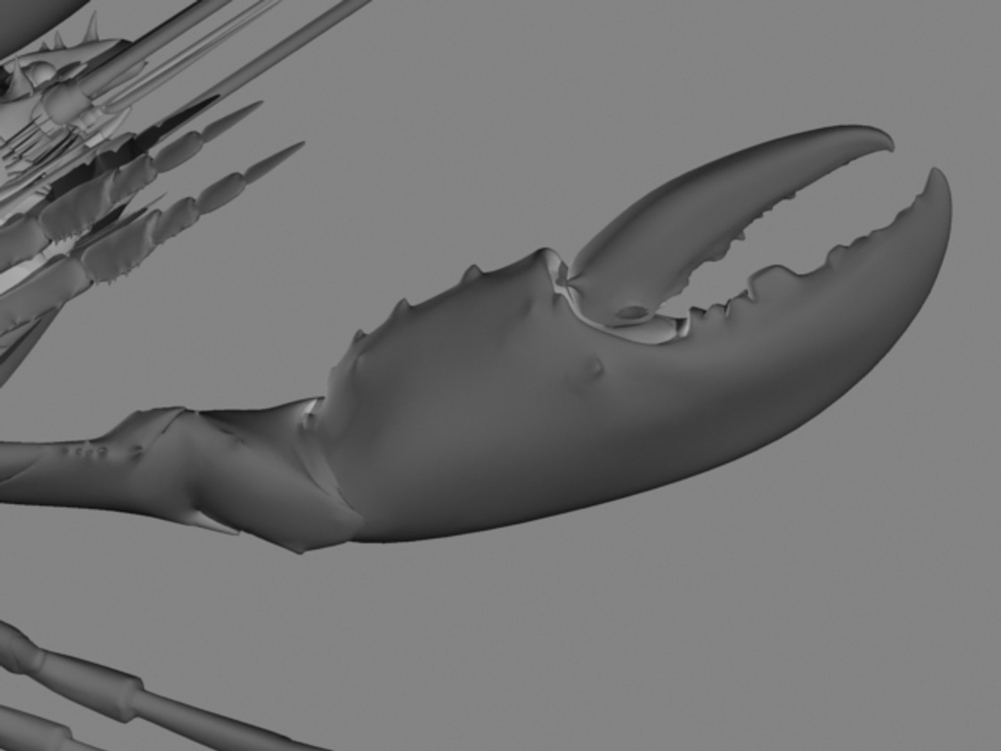3d lobster model