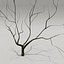 Free 3ds Model Bare Tree