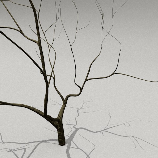 free 3ds model bare tree
