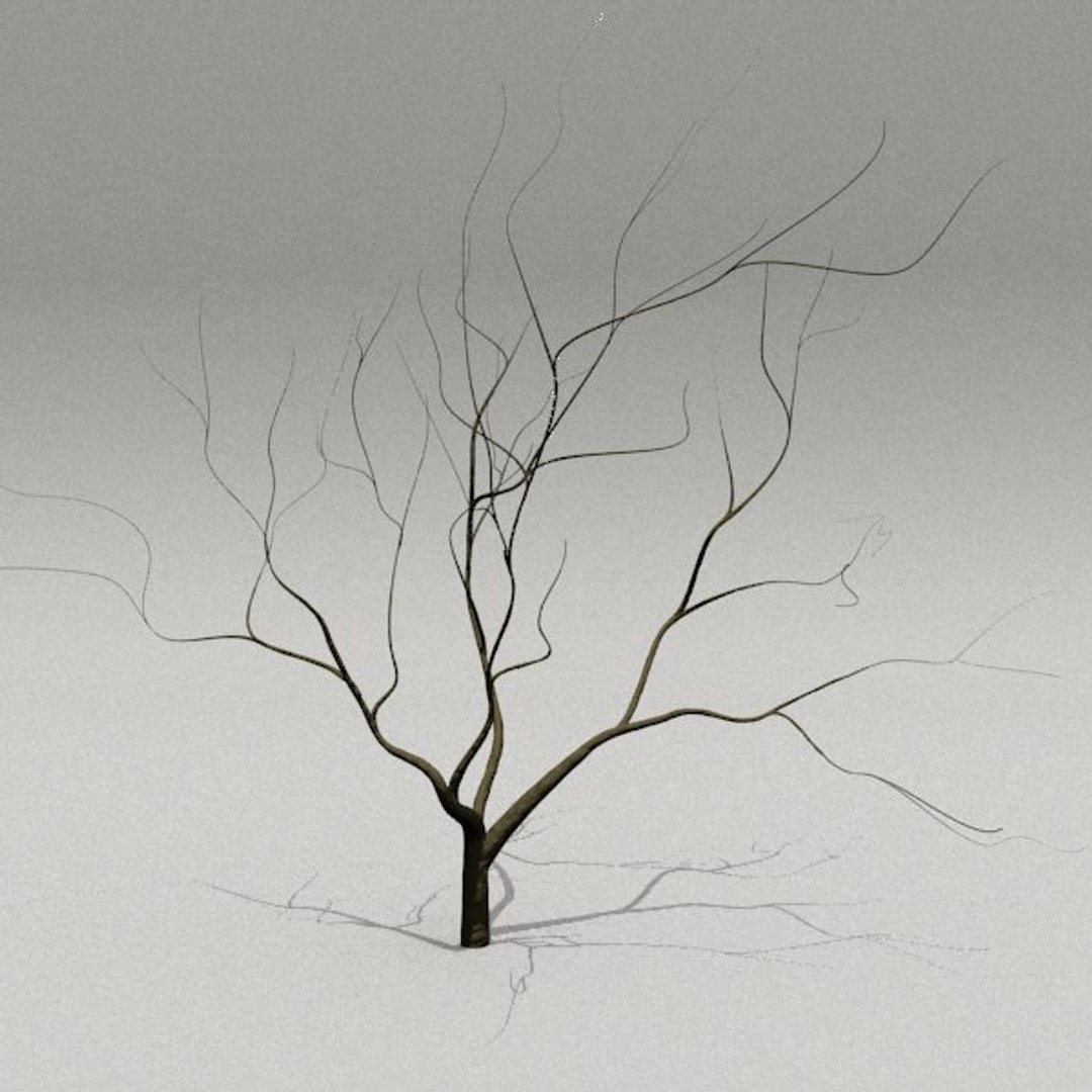 Free 3ds Model Bare Tree