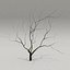 Free 3ds Model Bare Tree