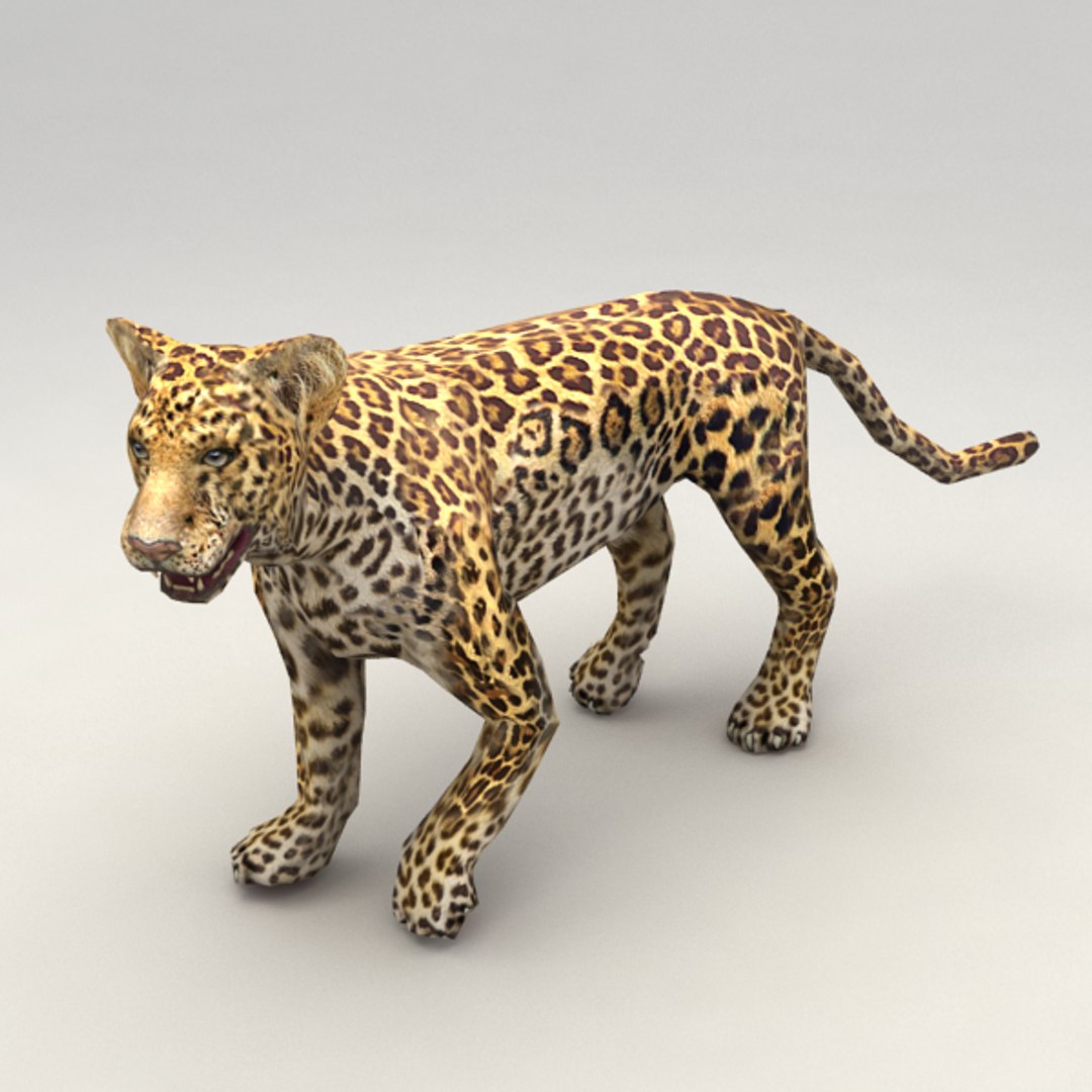 3d Rigged Leopard Model
