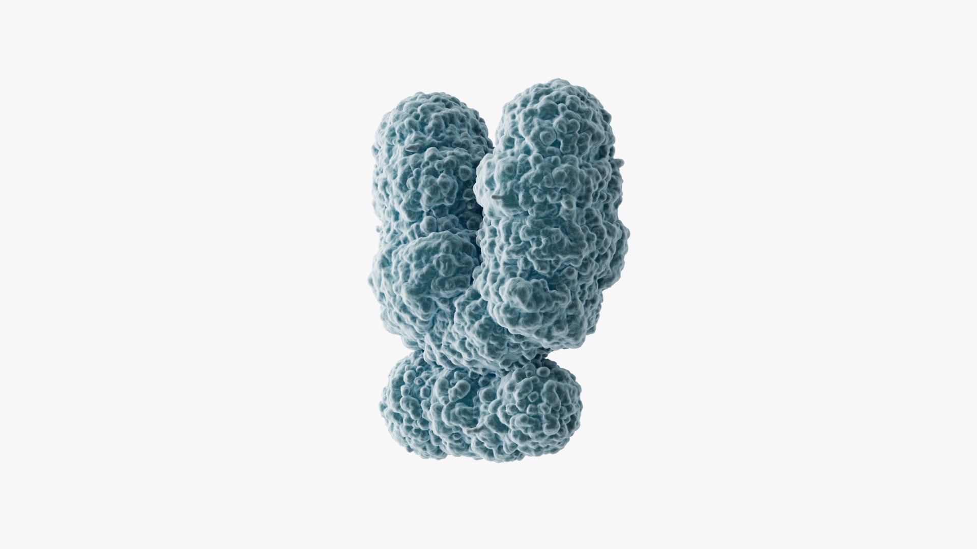 3D Chromosome Y Model - TurboSquid 2228498