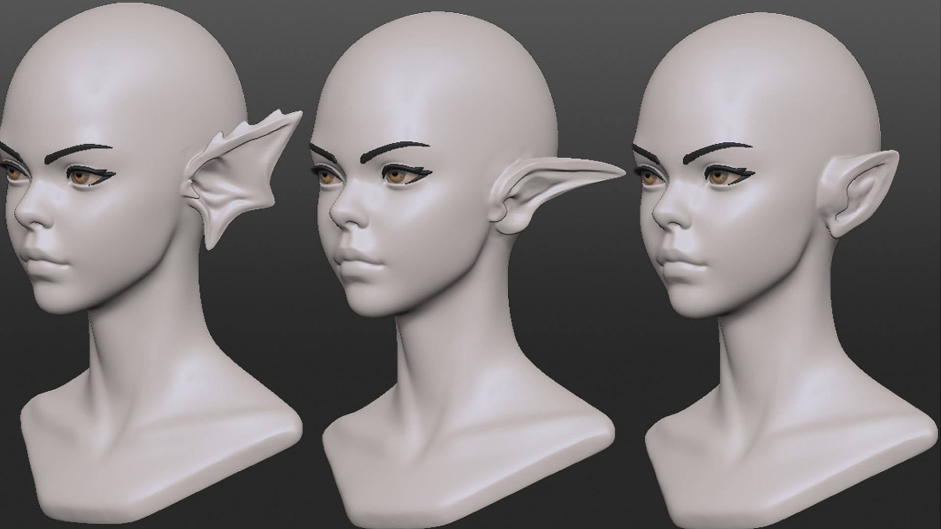 Stylized Ear Brush 3D Model - TurboSquid 2379630