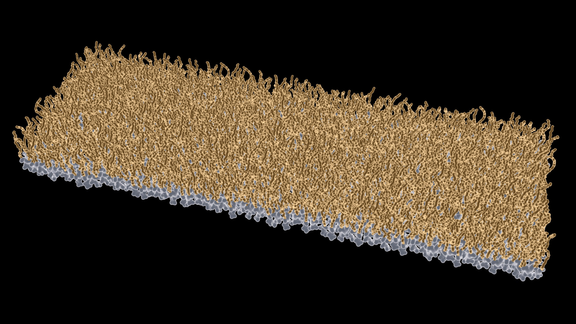 3D Animated Cell Membrane - TurboSquid 2270740