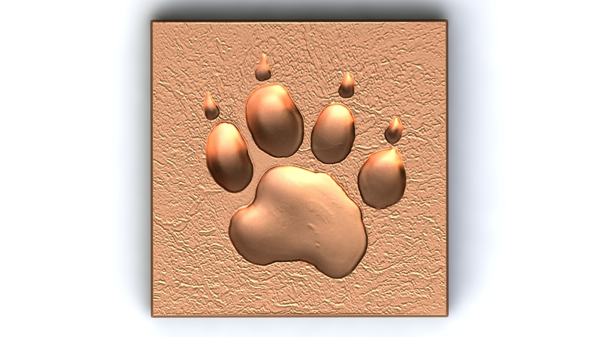 3D Paw - TurboSquid 1826134