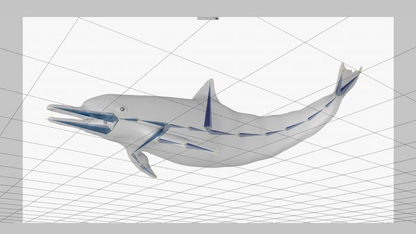 Dolphin rigged 3D model - TurboSquid 1622161