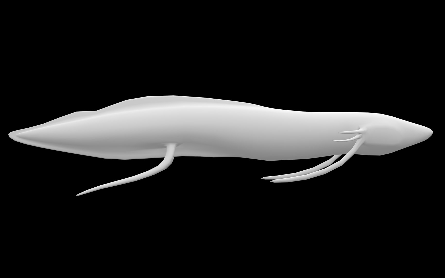 Base protopterus annectens 3D model - TurboSquid 1496979