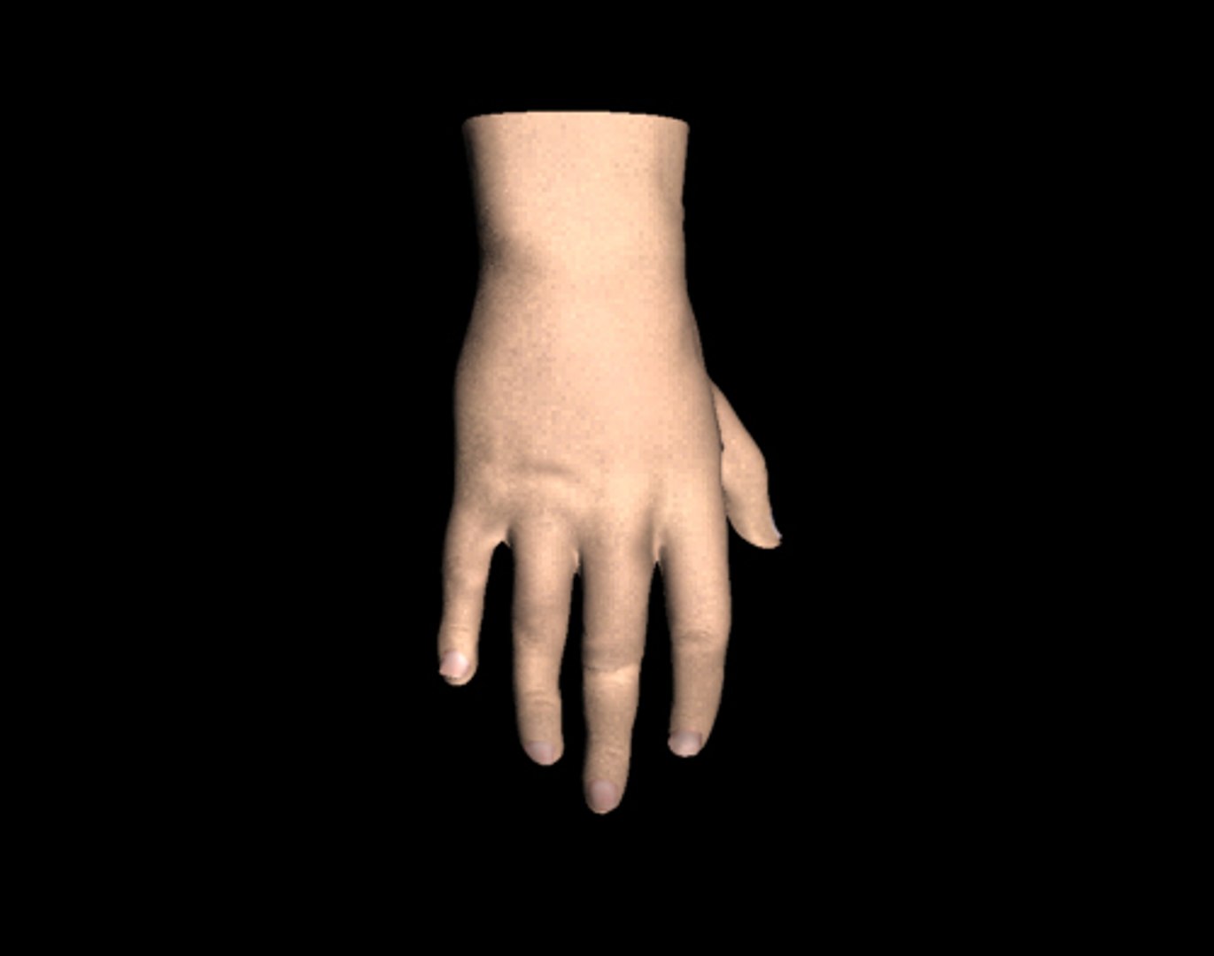 3d Model Hand