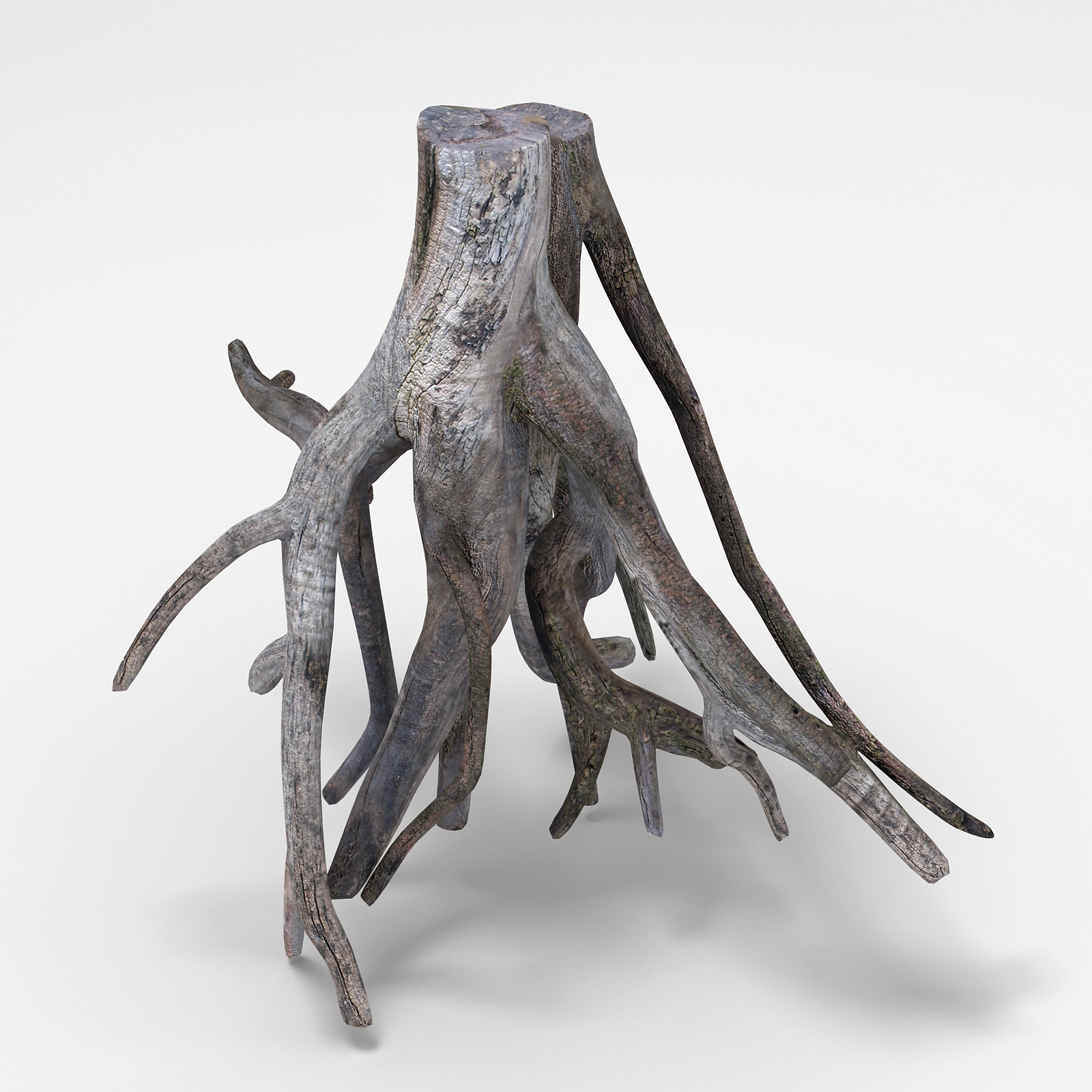 tree roots 3d model