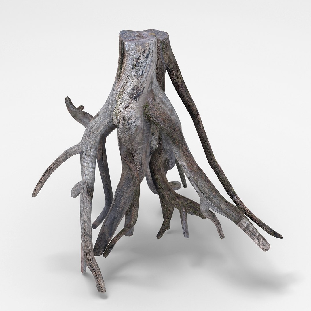 Tree Roots 3d Model