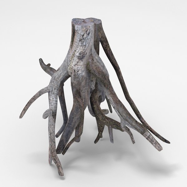 tree roots 3d model