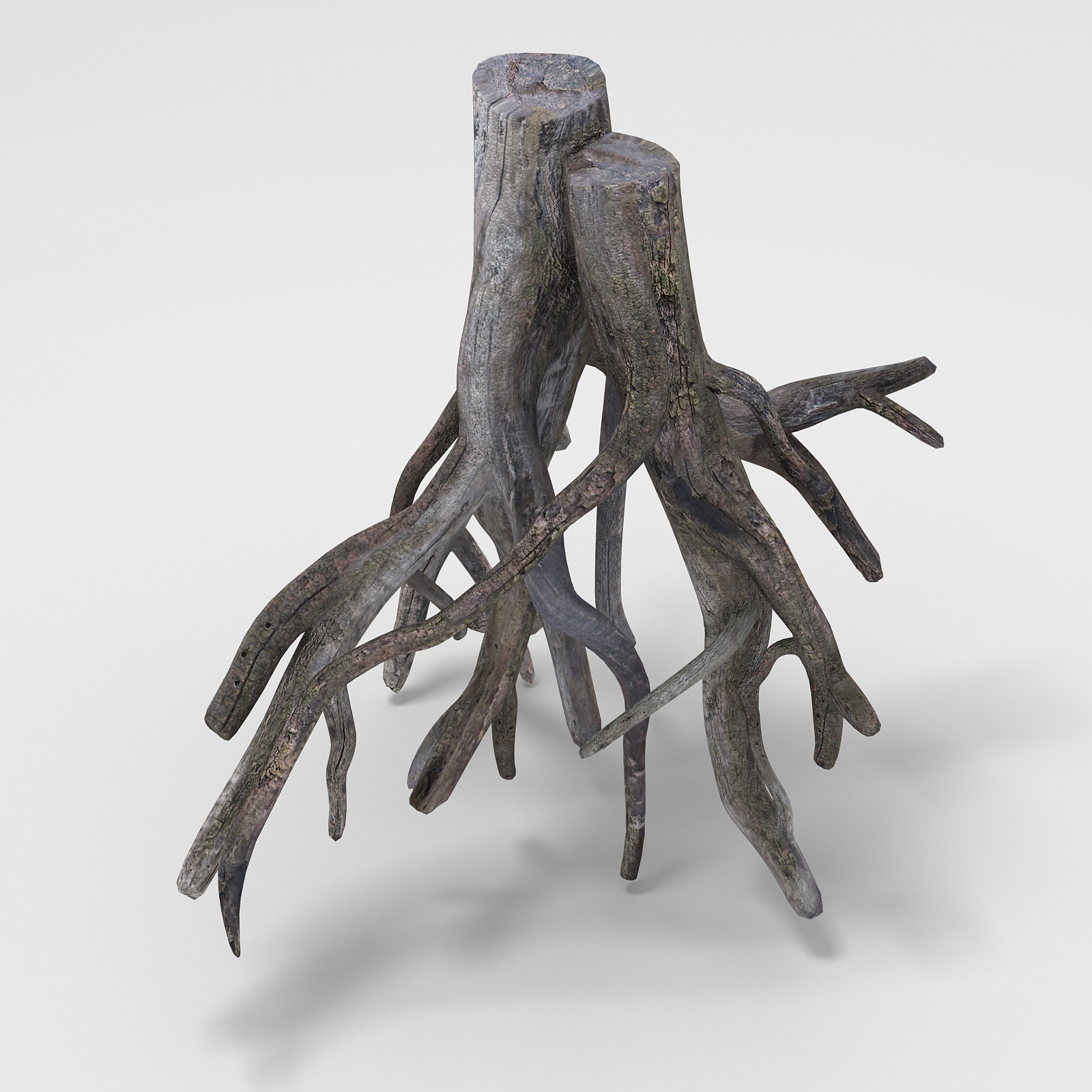 tree roots 3d model