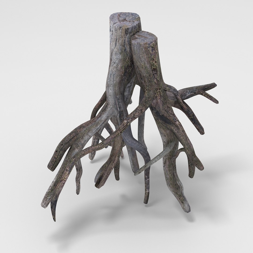 Tree Roots 3d Model