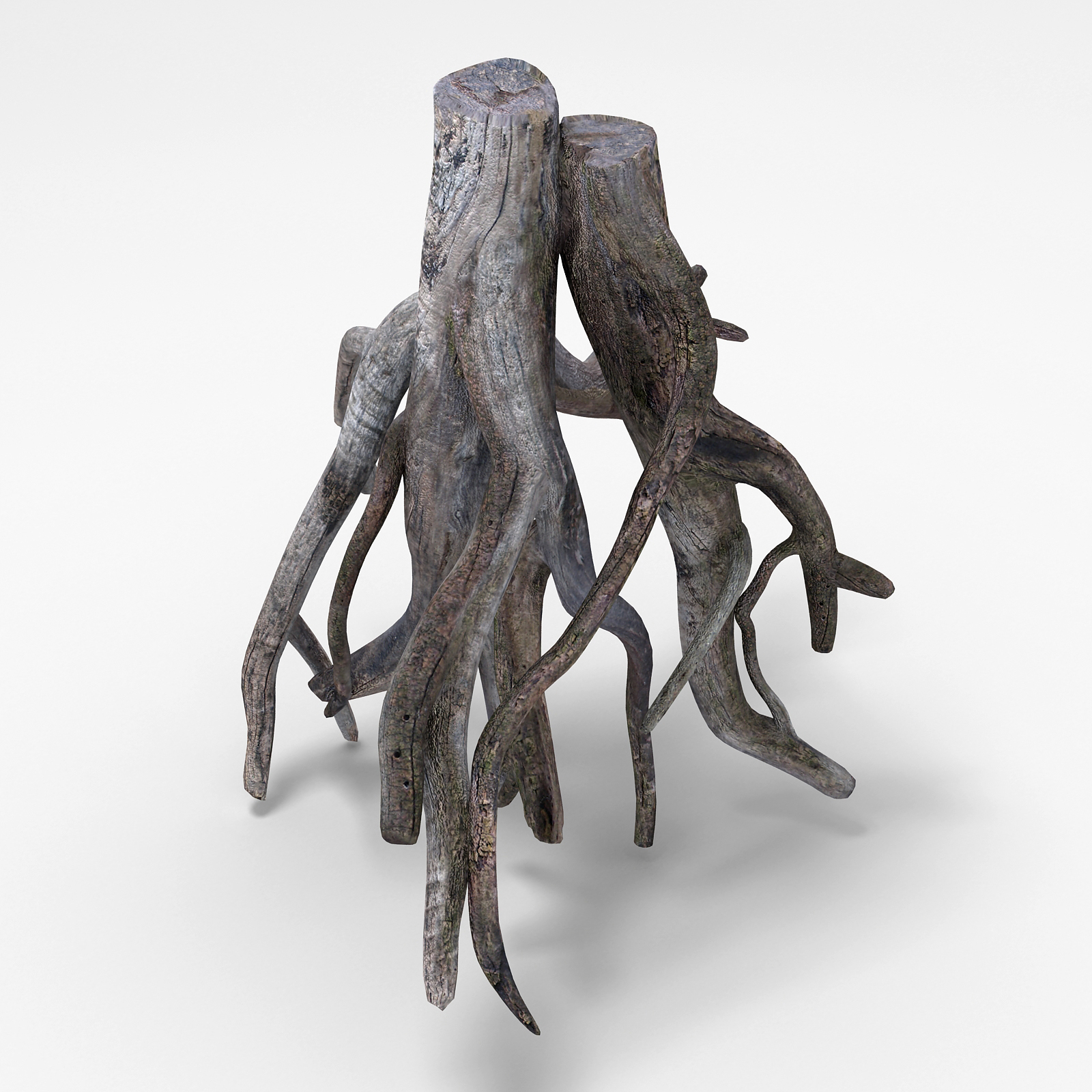 tree roots 3d model