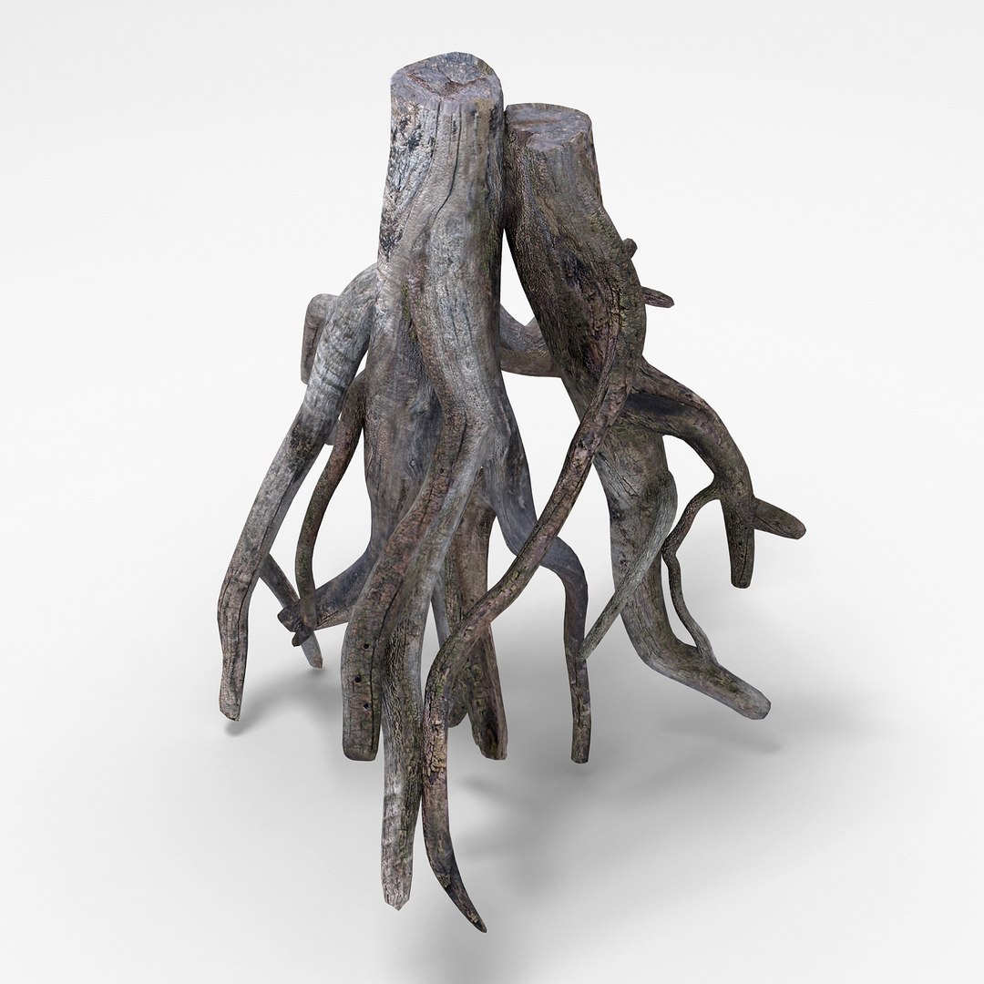 Tree Roots 3d Model