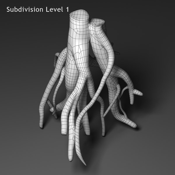 tree roots 3d model