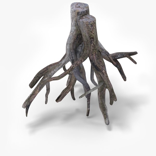 tree roots 3d model
