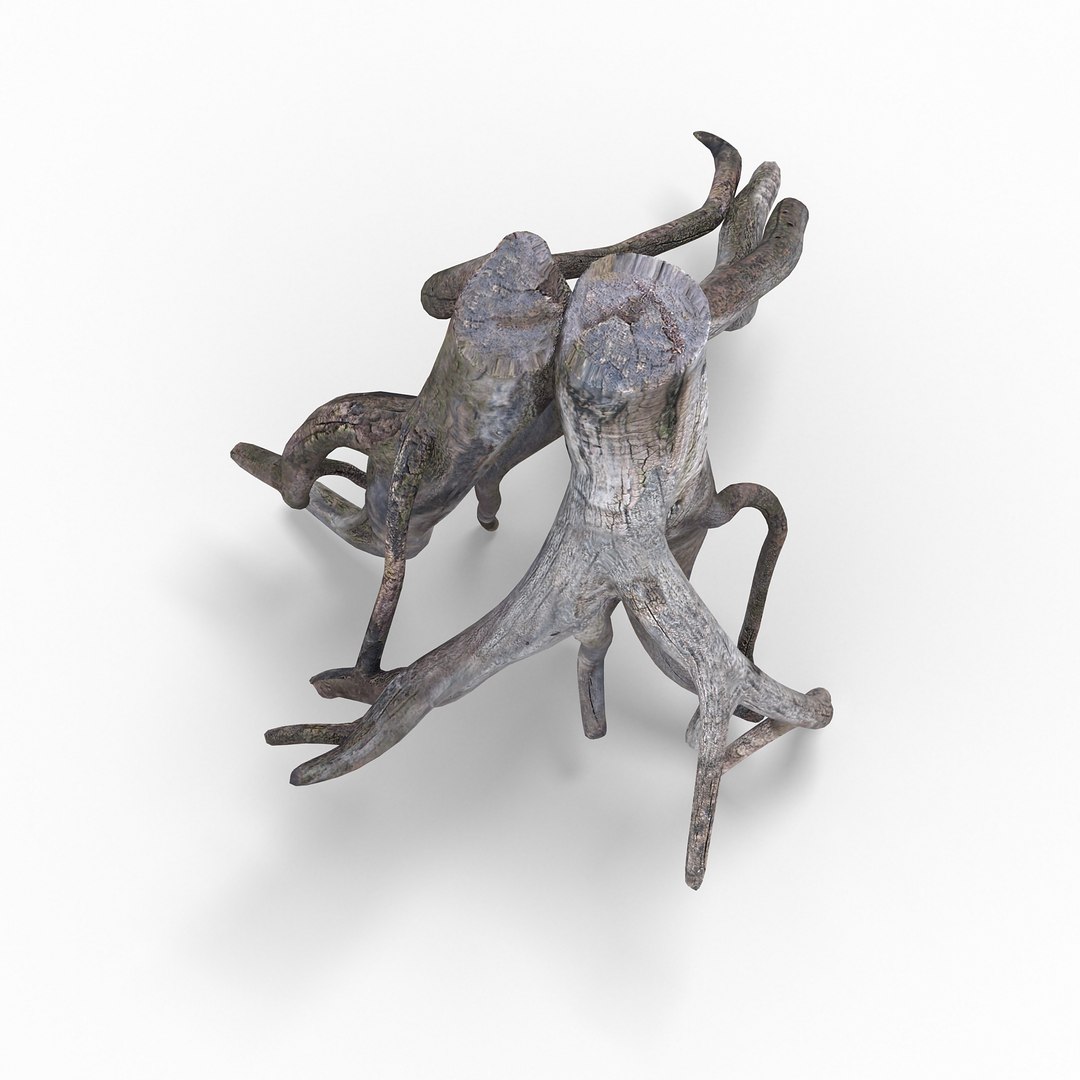 Tree Roots 3d Model