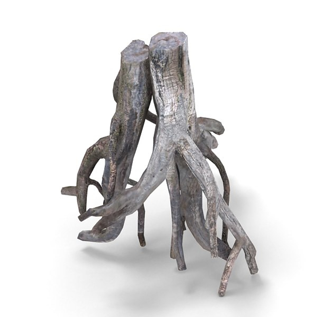 Tree Roots 3d Model