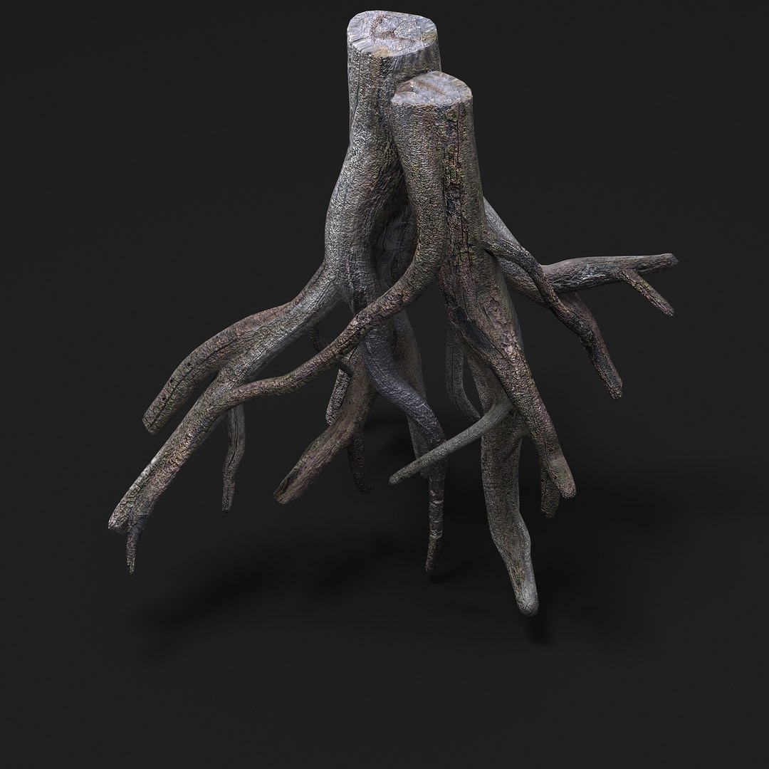Tree Roots 3d Model
