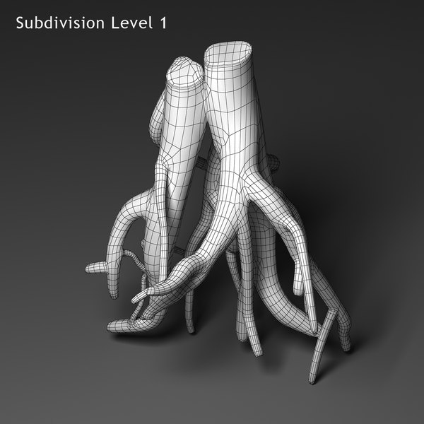 tree roots 3d model