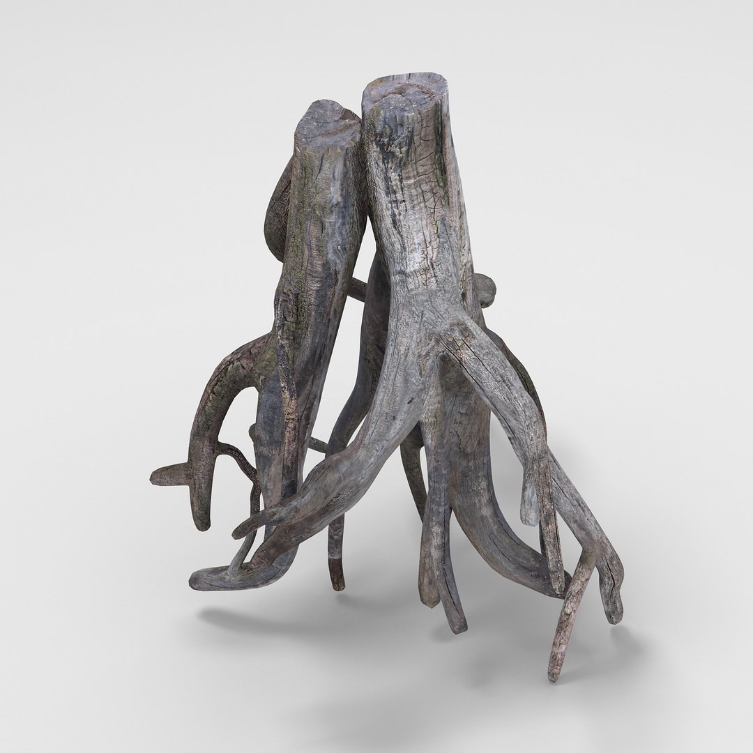 Tree Roots 3d Model