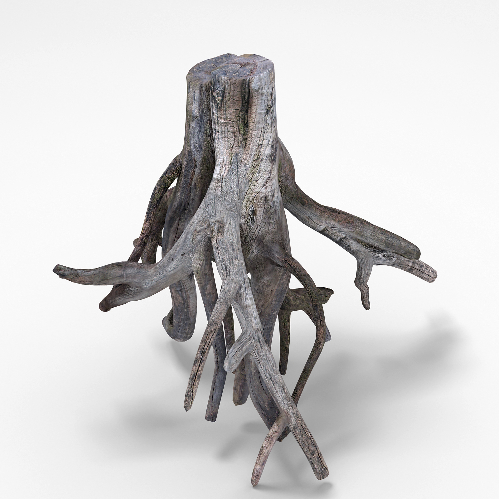 tree roots 3d model