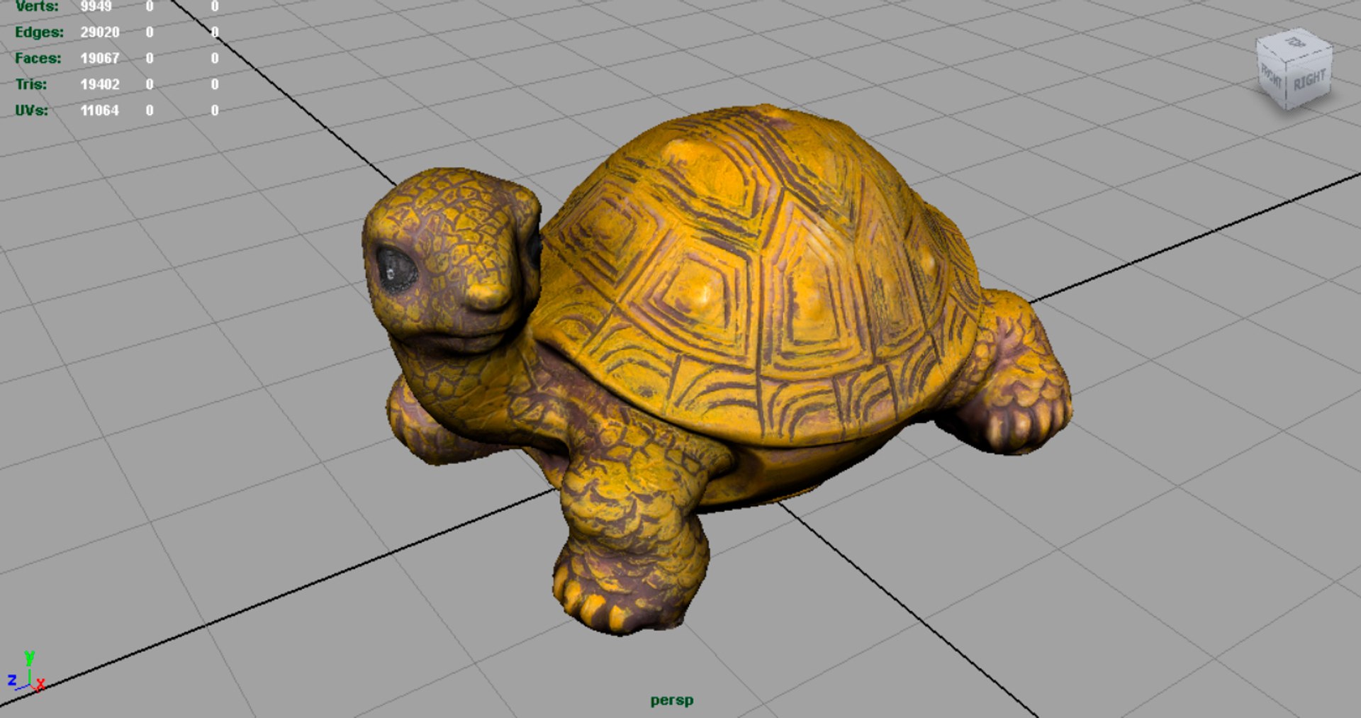 3D model turtle - TurboSquid 1207342