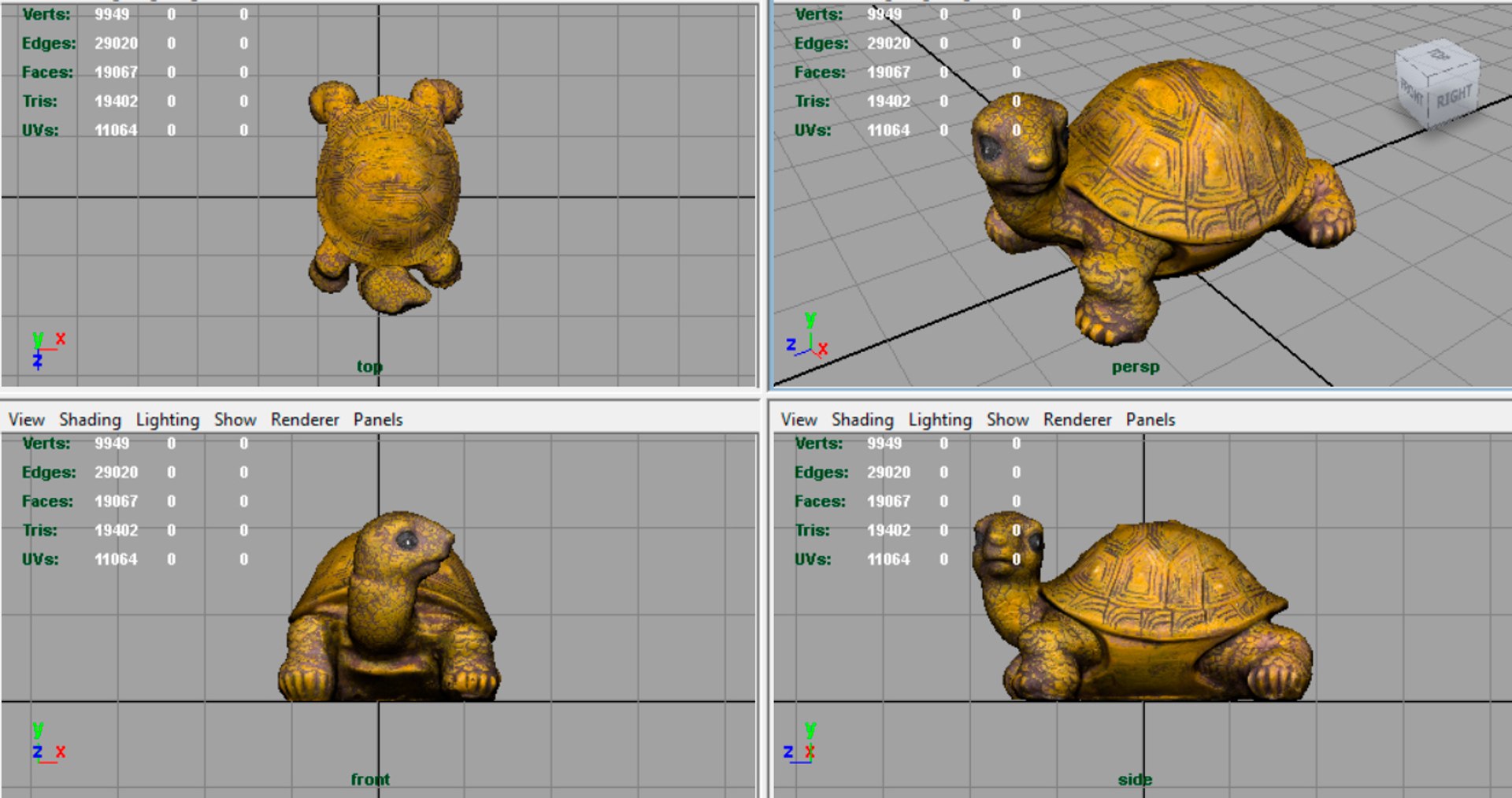 3D model turtle - TurboSquid 1207342