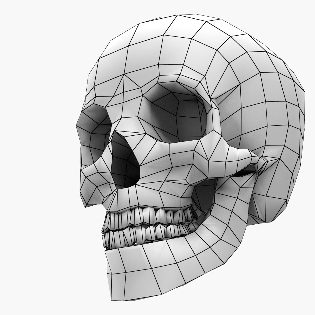 Human Skull Max