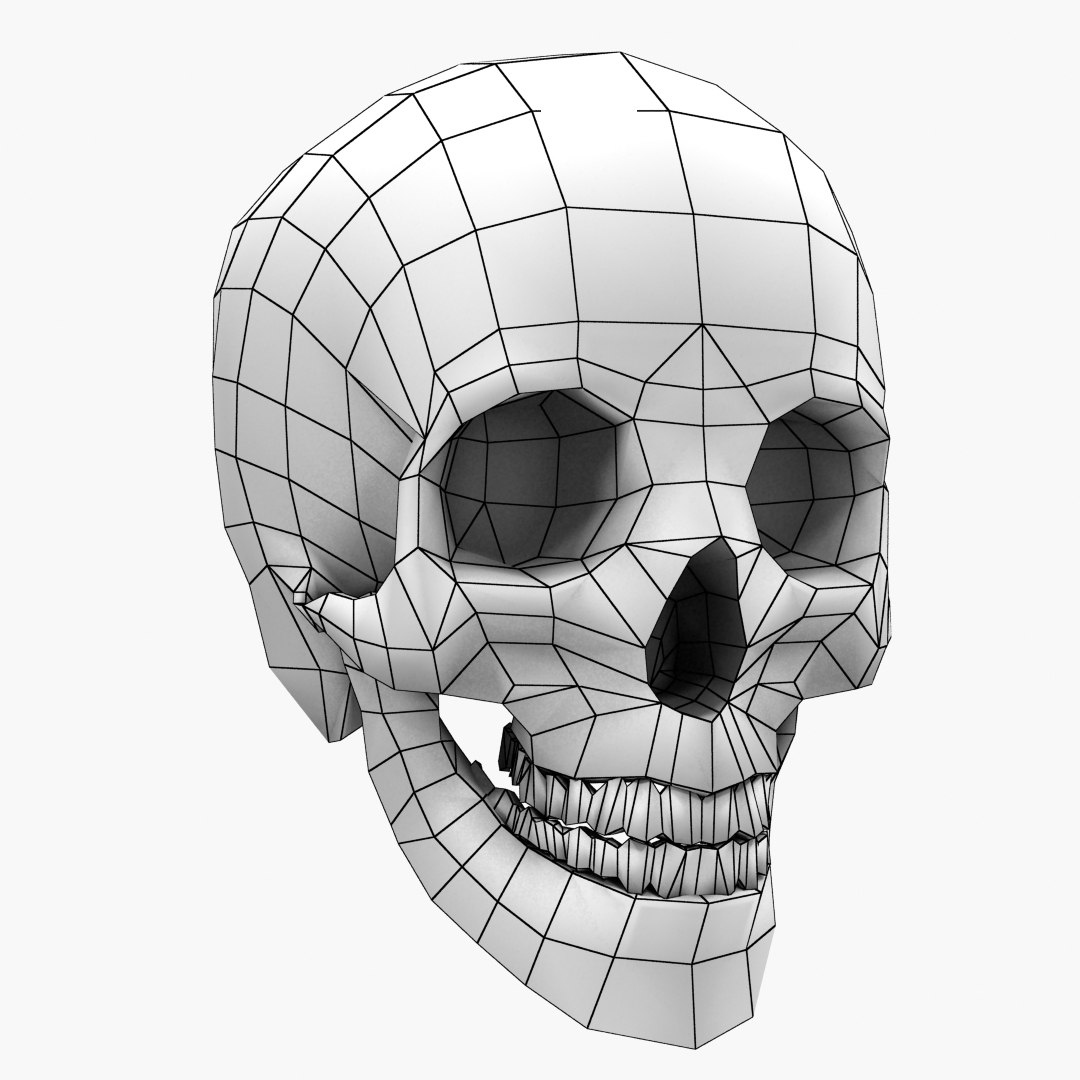 Human Skull Max