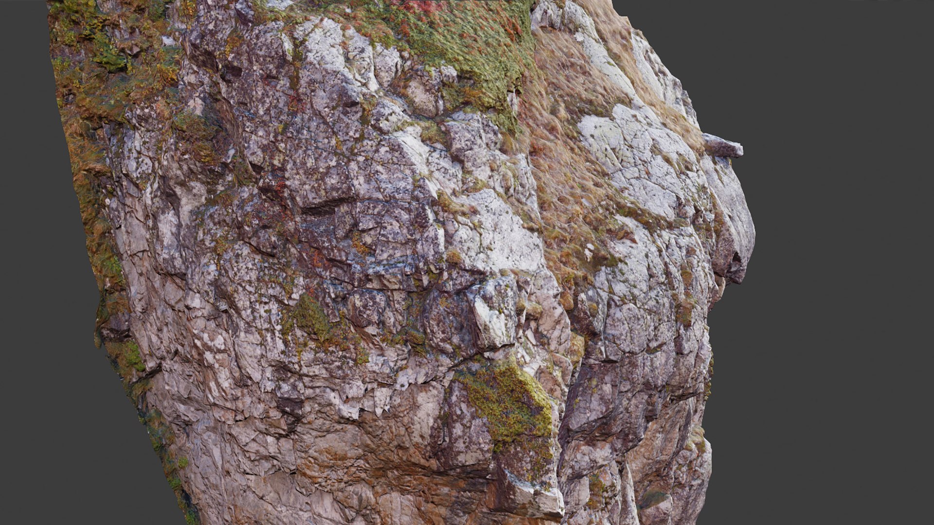 3D Mountain Huge Cliff Boulder Alps Scan PBR - TurboSquid 1847238