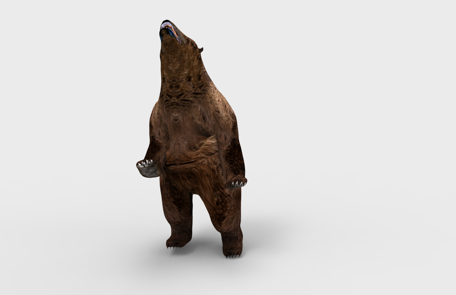 3D brown bear animation - TurboSquid 1224588