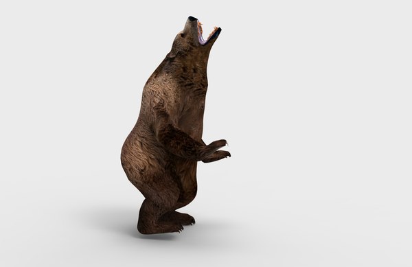 3D brown bear animation - TurboSquid 1224588