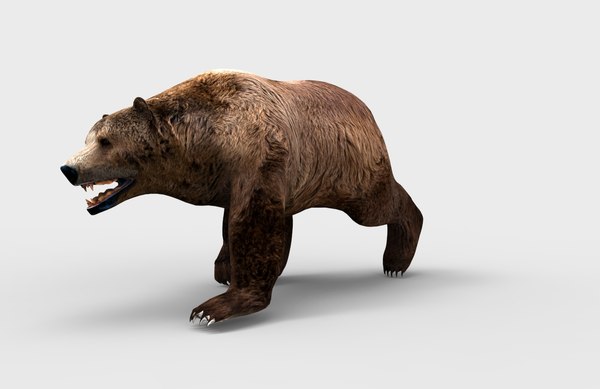 3D brown bear animation - TurboSquid 1224588