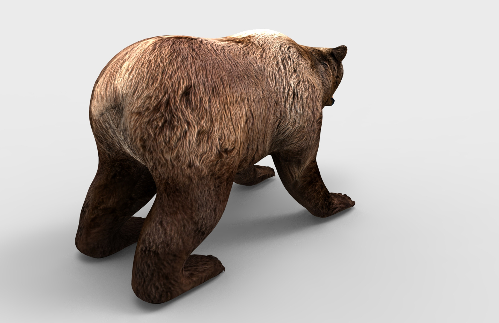 3D brown bear animation - TurboSquid 1224588