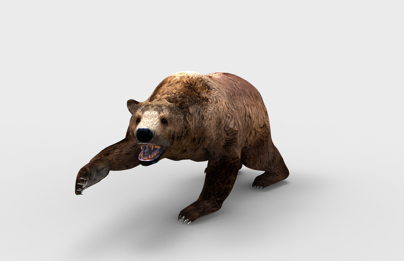 3D brown bear animation - TurboSquid 1224588