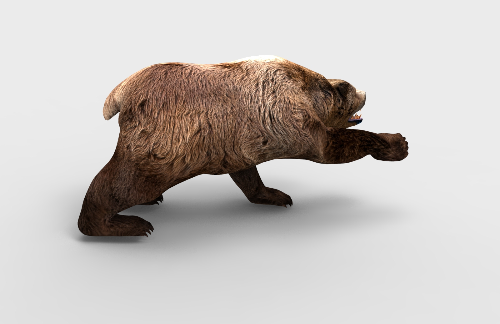 3D brown bear animation - TurboSquid 1224588