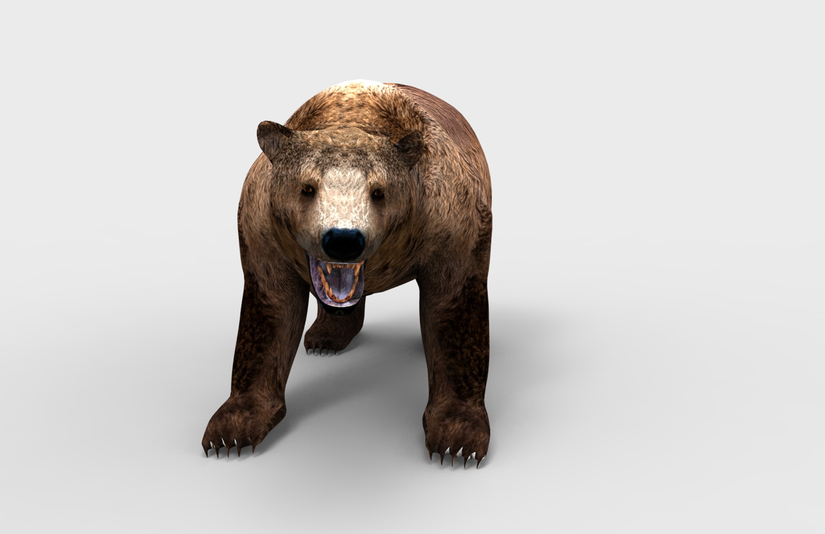 3D brown bear animation - TurboSquid 1224588