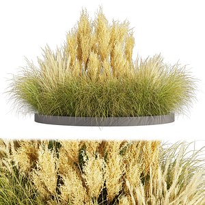 Grasses AutoCAD drawing Models for Download | TurboSquid
