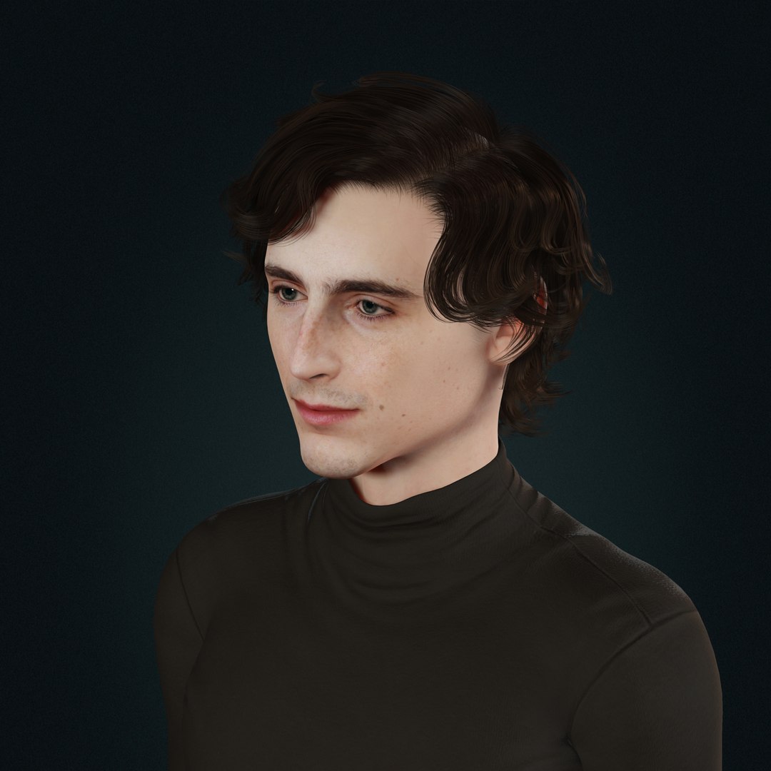 Timothee Chalamet 3d Model Low-poly 3D Model - TurboSquid 2283791
