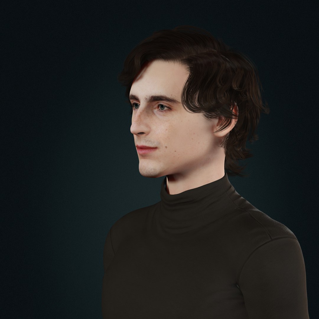 Timothee Chalamet 3d Model Low-poly 3D Model - TurboSquid 2283791