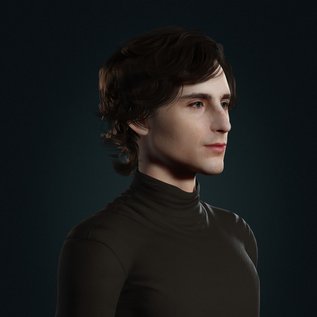 Timothee Chalamet 3d Model Low-poly 3D Model - TurboSquid 2283791