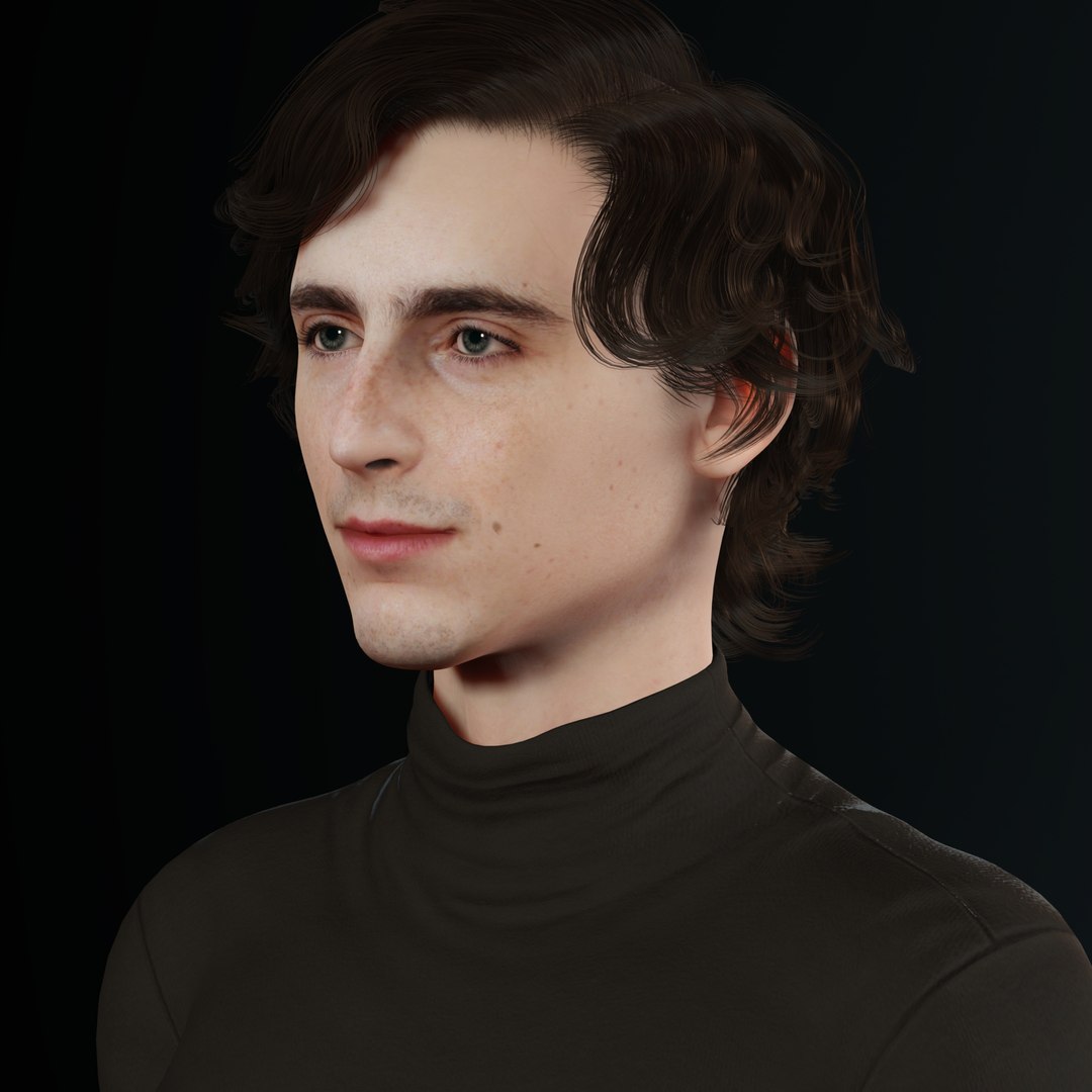 Timothee Chalamet 3d Model Low-poly 3D Model - TurboSquid 2283791